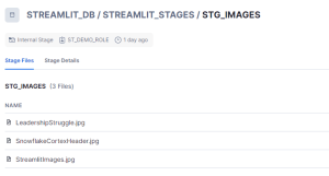 Streamlit Power-Up: Advanced Image Display Options for Snowflake Users ...